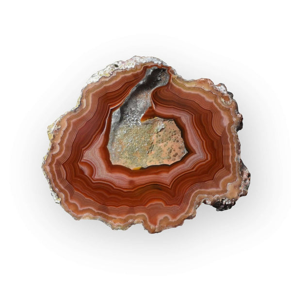 LAGUNA AGATES | Del Rey Agates Gems & Minerals Inc.